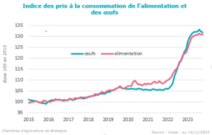 Croissance de la consommation d'œufs malgré la hausse des prix - AgriEco